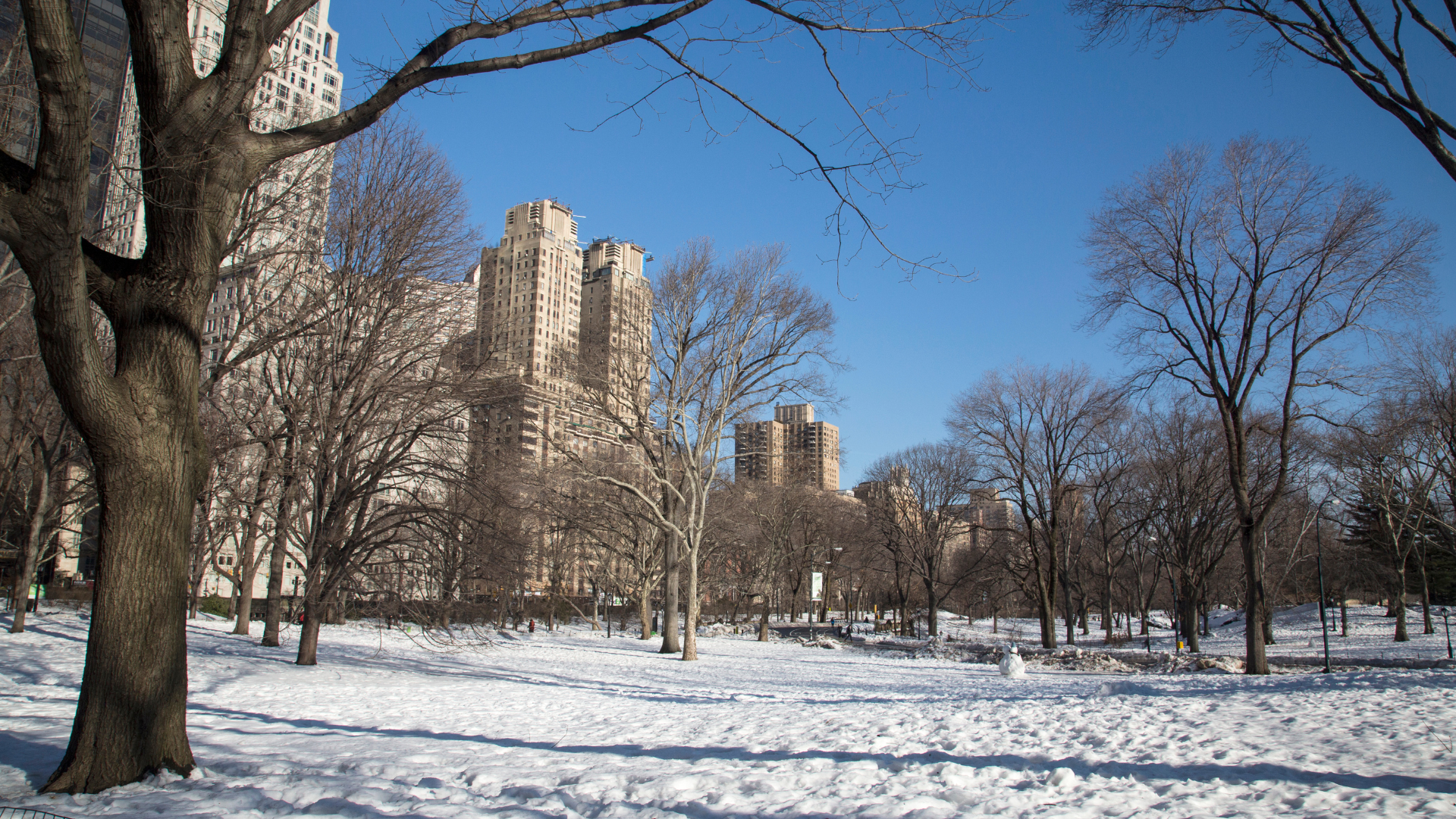 Mirror Neurons: Shaping Human Behavior and Connection - Stress Solutions NY